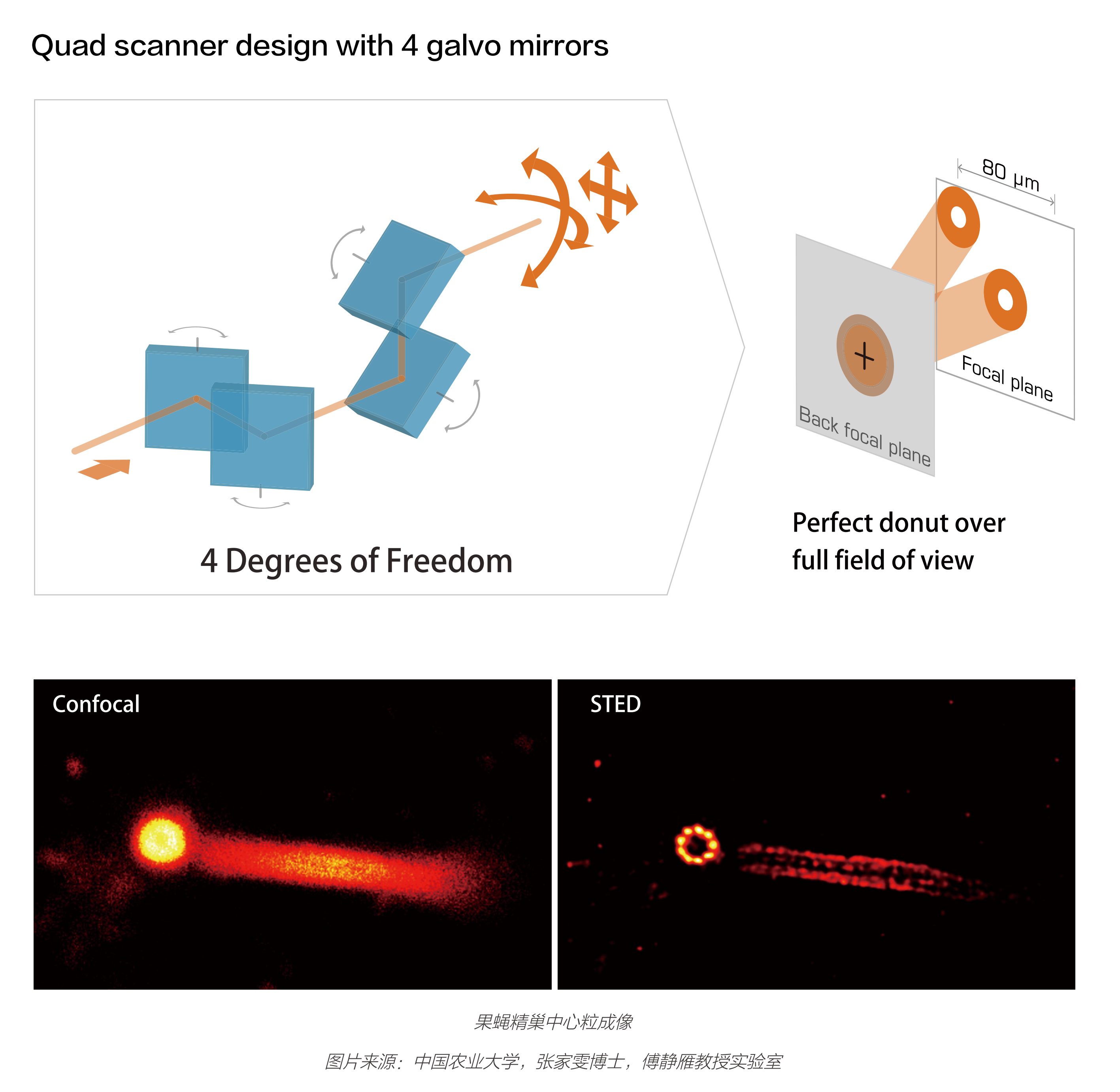 Abberior STED 超分辨共聚焦显微镜_上海江文 | 显微成像/流式细胞仪/外泌体/细胞分析/多组学技术服务商 - 专业解决方案