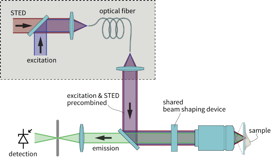 Abberior STED 超分辨共聚焦显微镜_上海江文 | 显微成像/流式细胞仪/外泌体/细胞分析/多组学技术服务商 - 专业解决方案